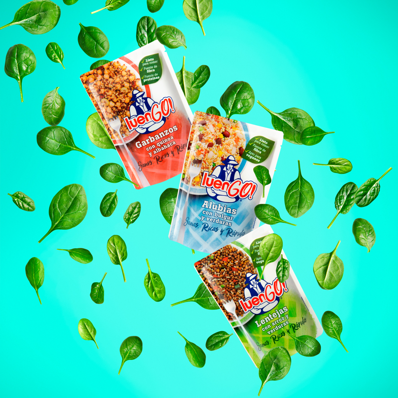 LuenGO! Legumbres sanas, ricas y rápidas - Luengo